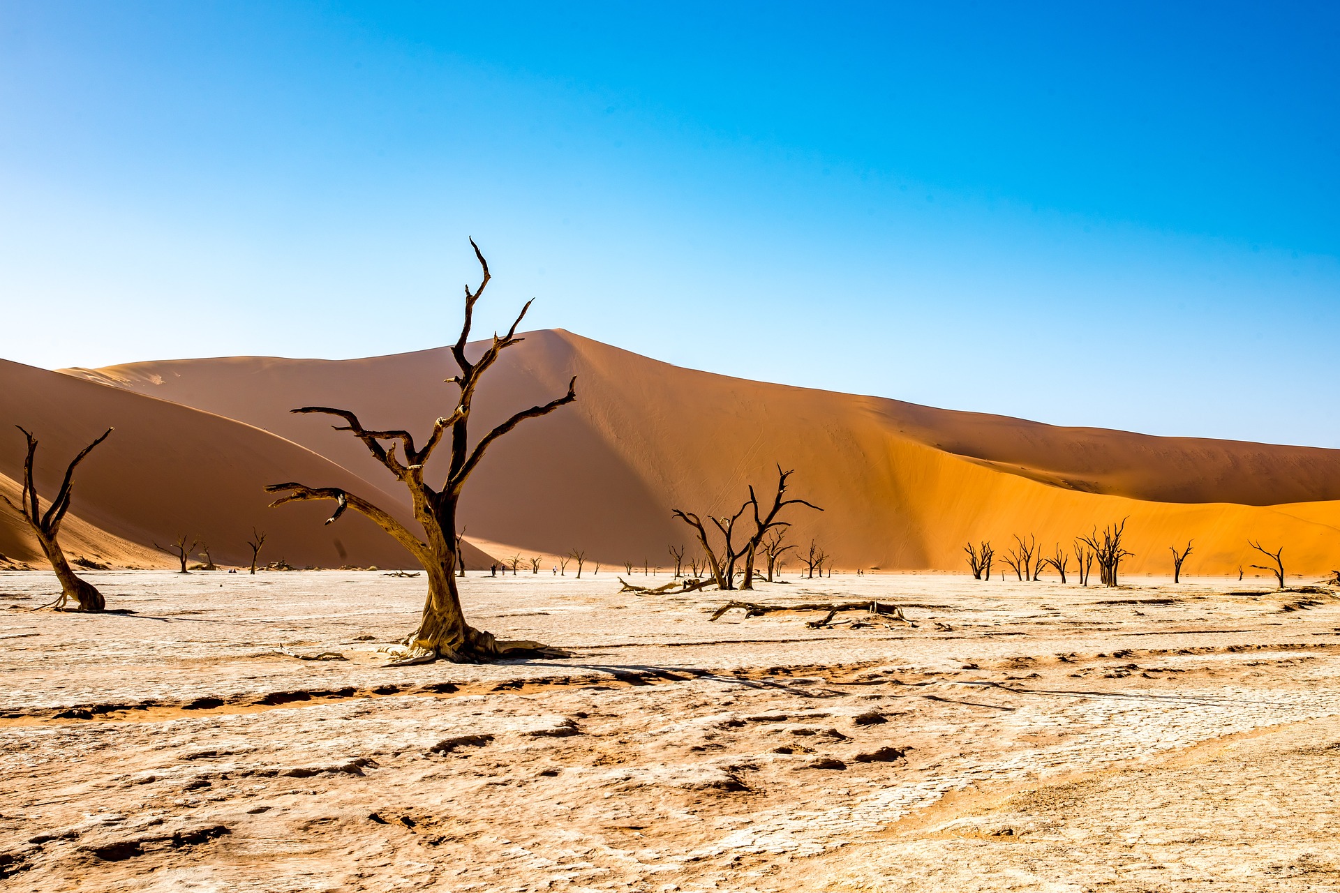 Namibia Urlaubstipps - Tipps für Namibia Urlaub